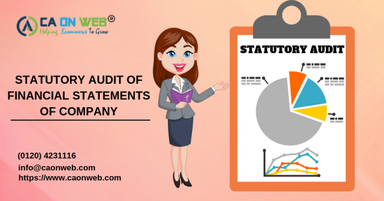 STATUTORY AUDIT OF FINANCIAL STATEMENTS OF COMPANY