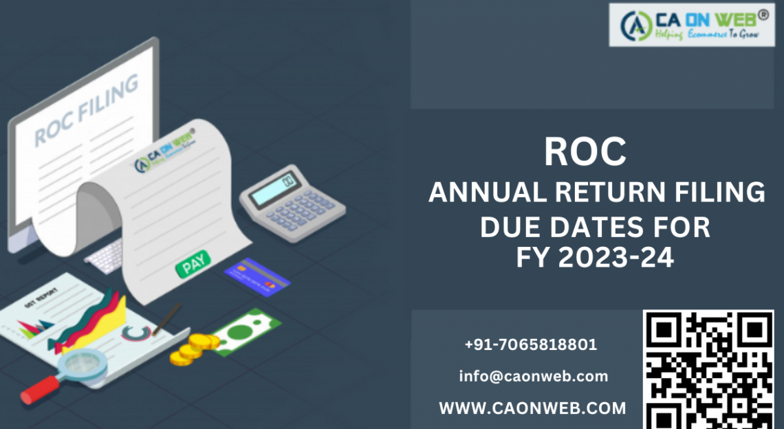 Company Annual Return File & ROC Filing