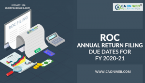 Company Annual Return File & ROC Filing